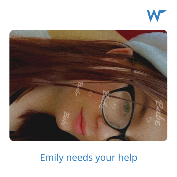 Help Emily find a perfect match